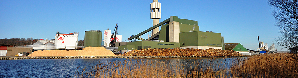 Konvertering fra kul, brunkul, fossilt brændsel til biomasse